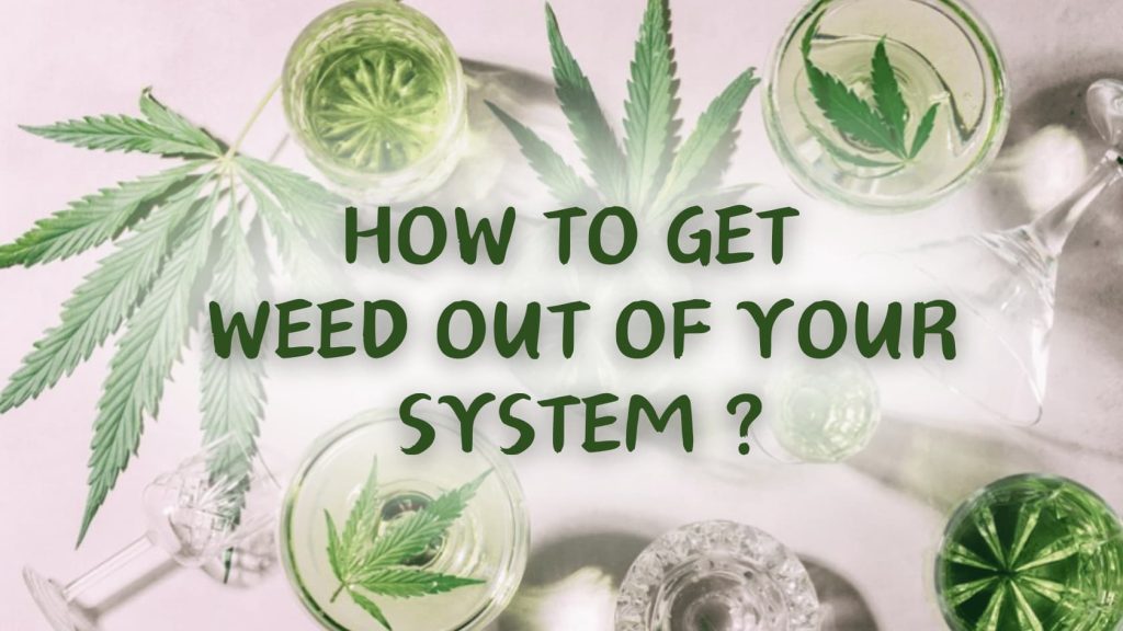 THC Detox Methods & How to Get Weed Out of Your System Before a Drug ...